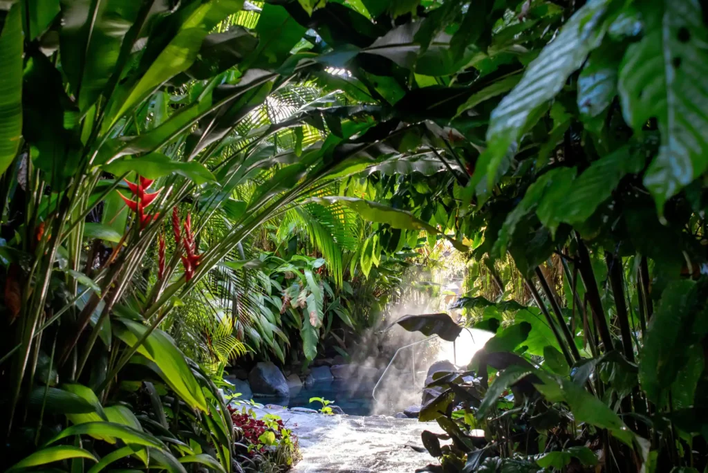 Top Hotels in La Fortuna with Hot Springs